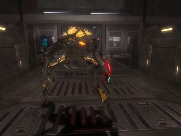 Data Hive - HaloRuns Wiki
